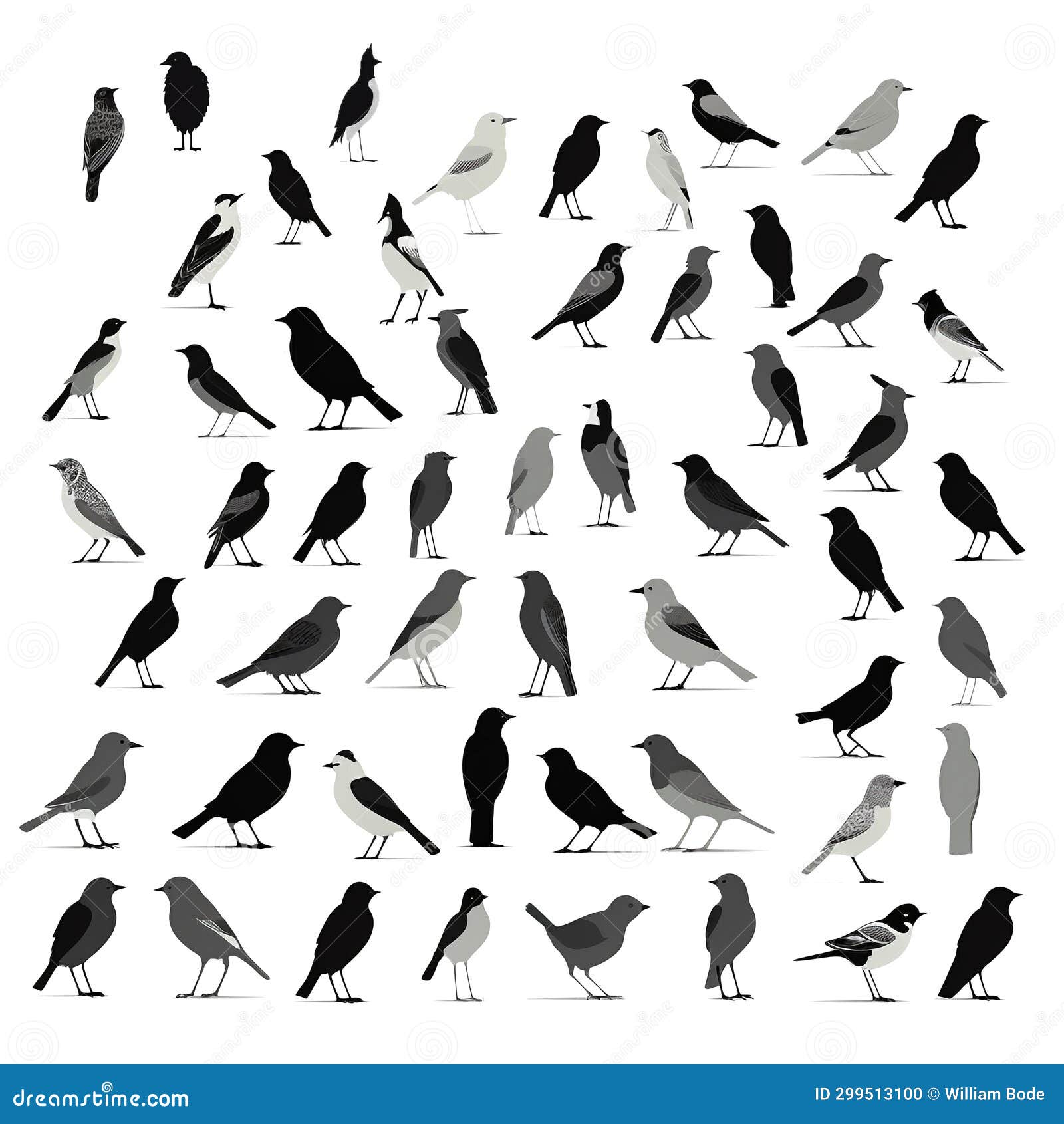Diversity of Grey Scale Bird Sillhouettes Stock Illustration ...