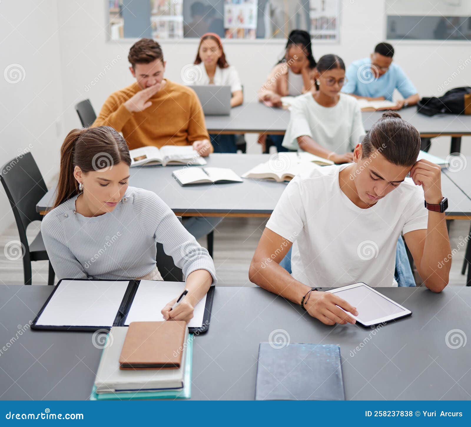 Diversity, Students and University Studying in Classroom for Higher ...