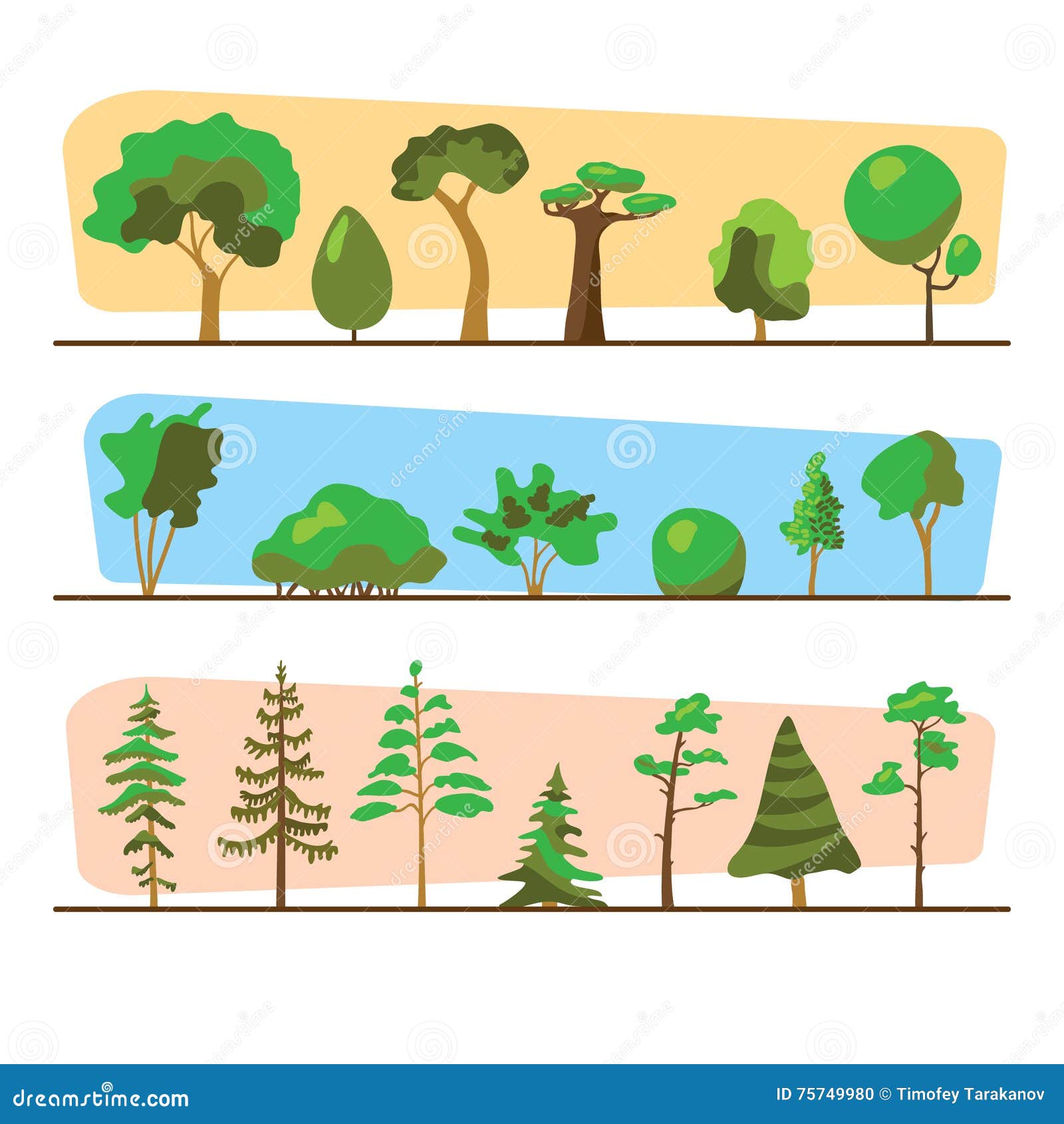 Diversity of Trees Set on White Stock Vector - Illustration of ...