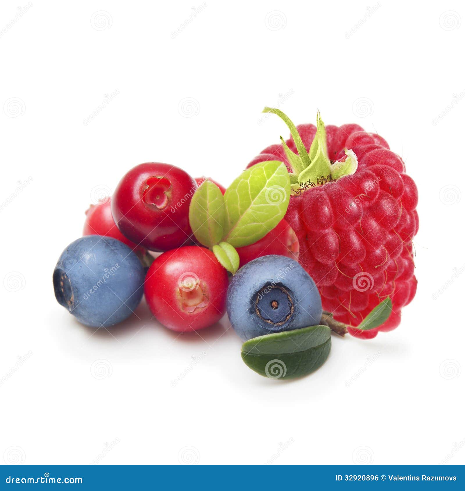 Diverso Tipo De Bayas Aisladas Foto de archivo - Imagen de baya, pasa ...