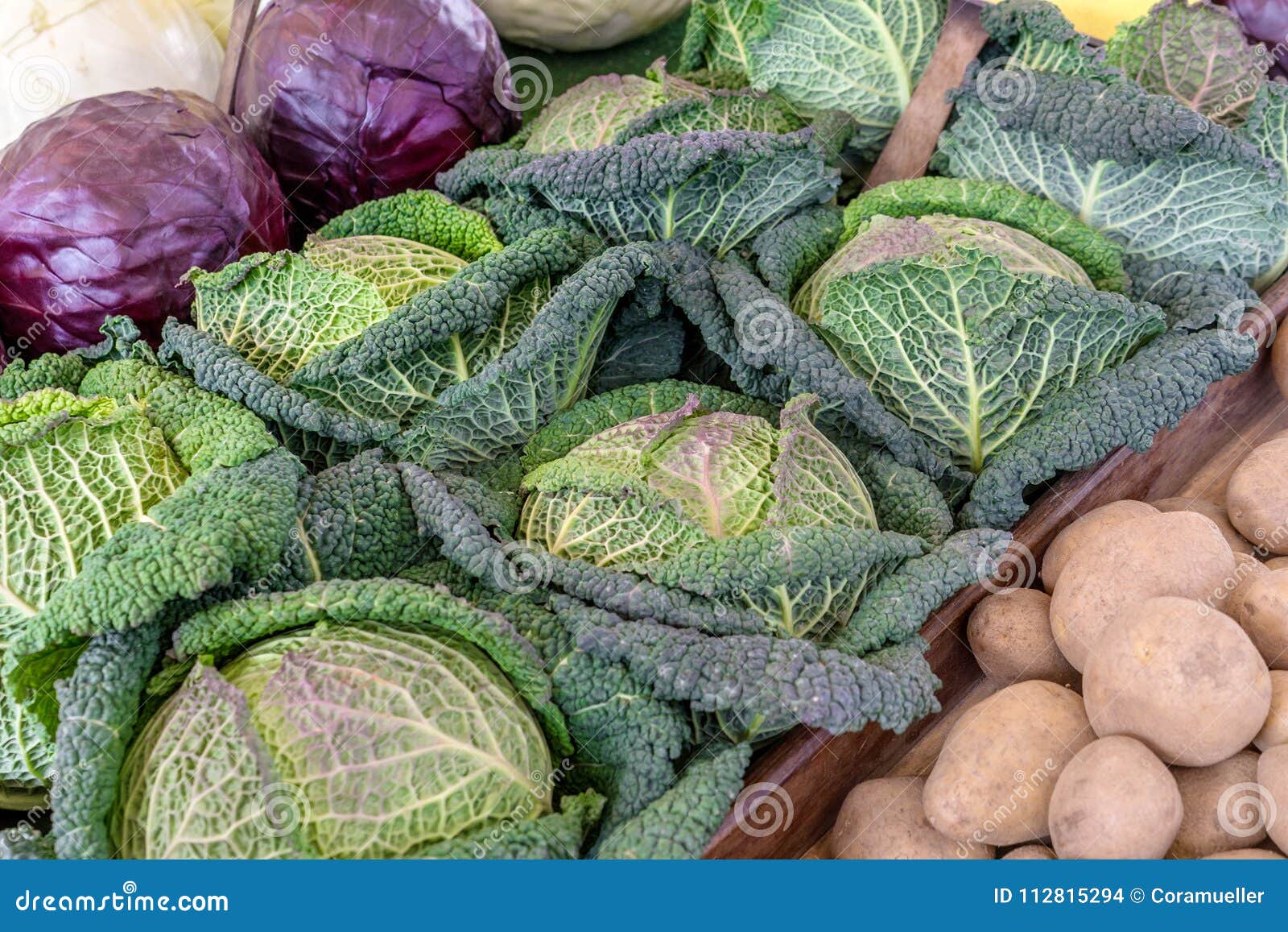 Diversos Tipos De Col Fresca Foto de archivo - Imagen de vegetariano ...