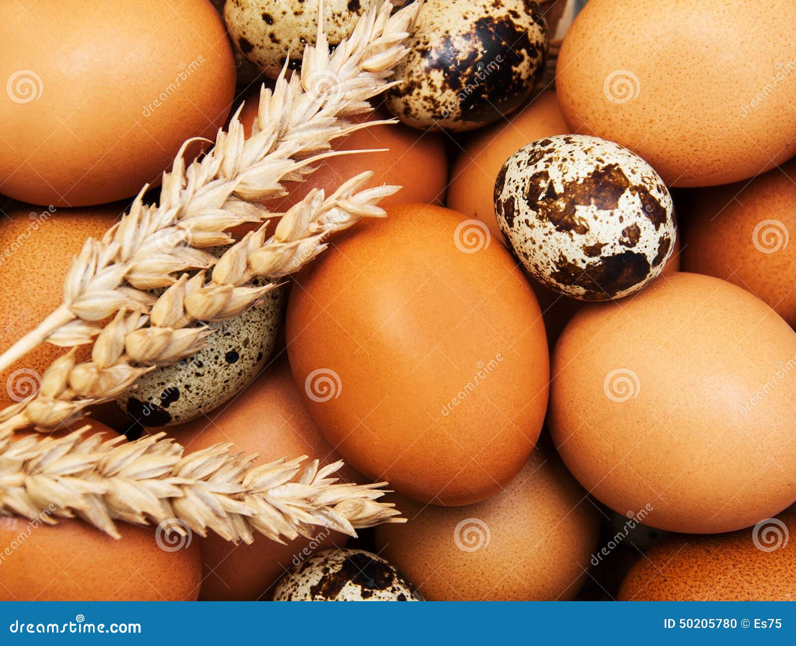 Diversos tipos de huevos foto de archivo. Imagen de cocina - 50205780