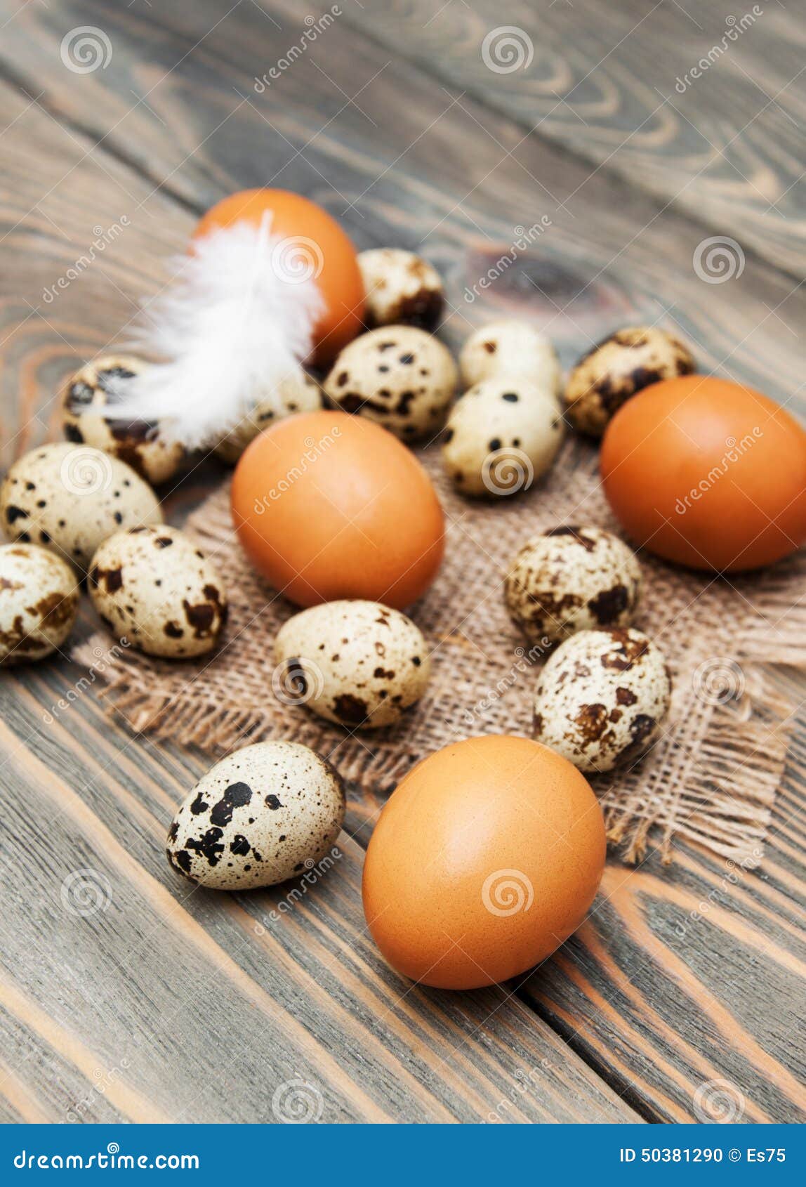 Diversos tipos de huevos foto de archivo. Imagen de adentro - 50381290