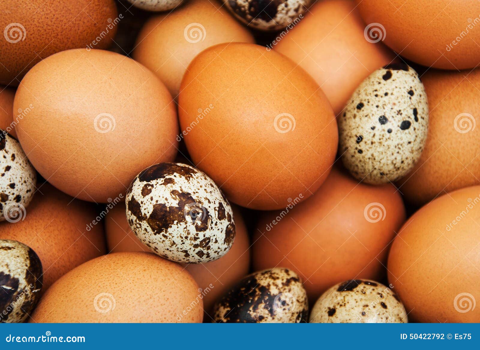 Diversos tipos de huevos foto de archivo. Imagen de sano - 50422792