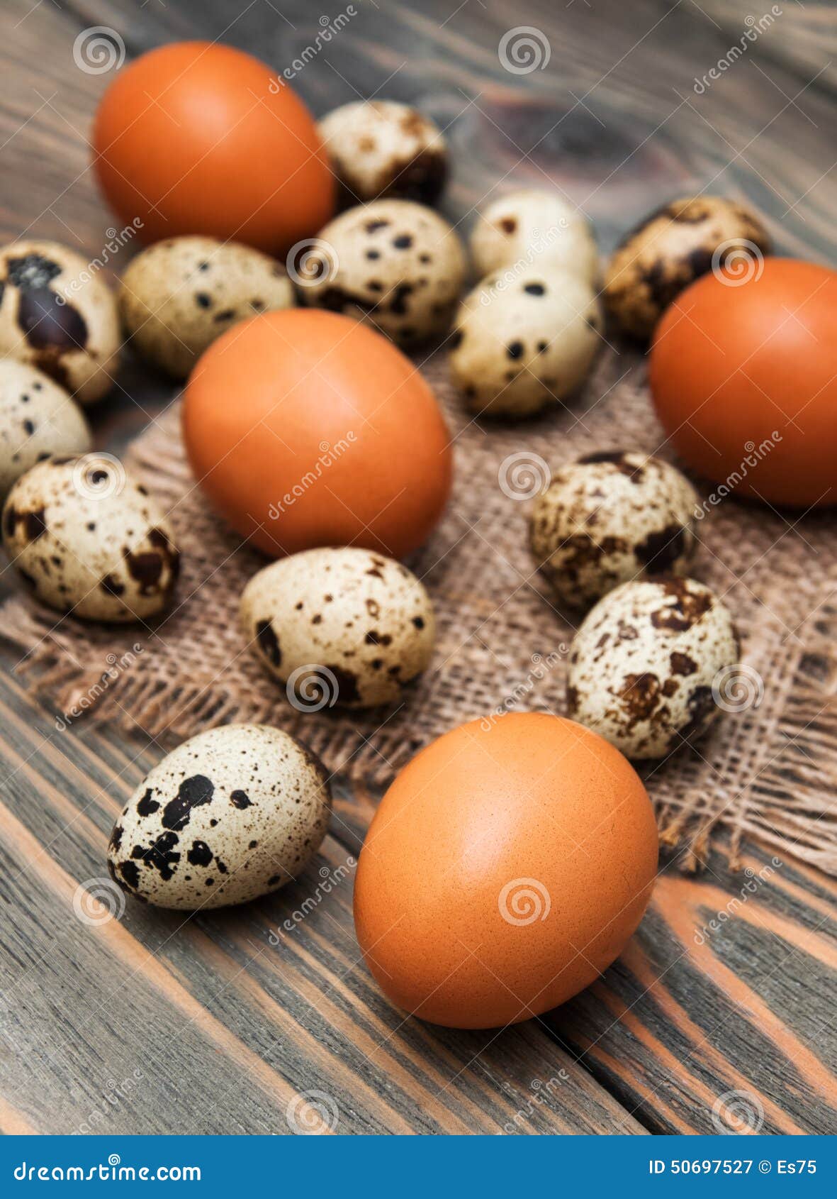 Diversos tipos de huevos imagen de archivo. Imagen de codornices - 50697527