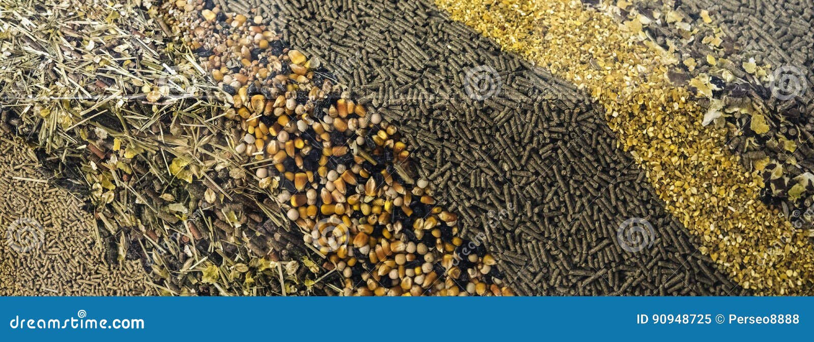 Diversos Tipos De Pienso Para El Fondo Imagen de archivo - Imagen de ...