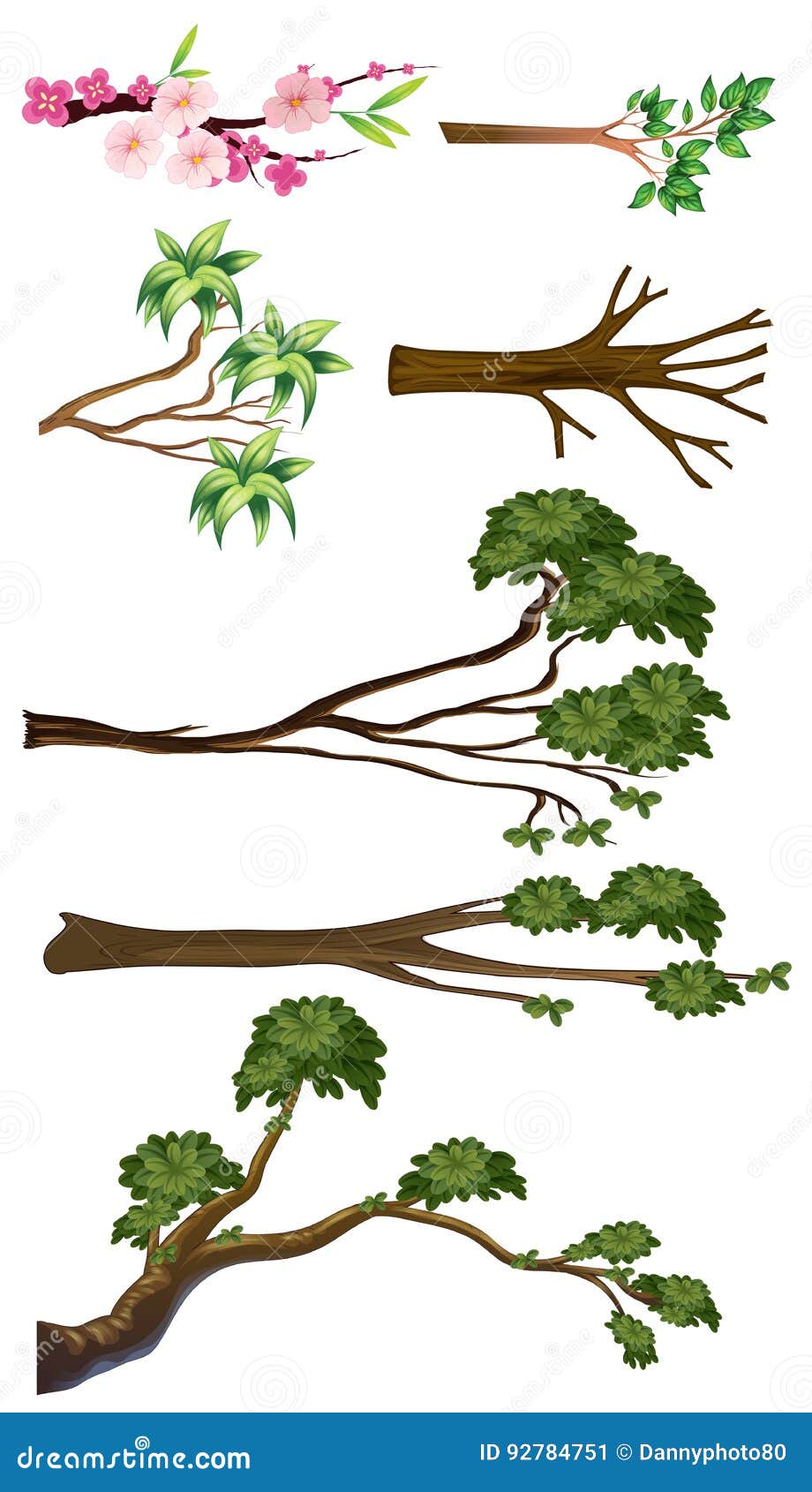 Diversos tipos de ramas ilustración del vector. Ilustración de colorido ...