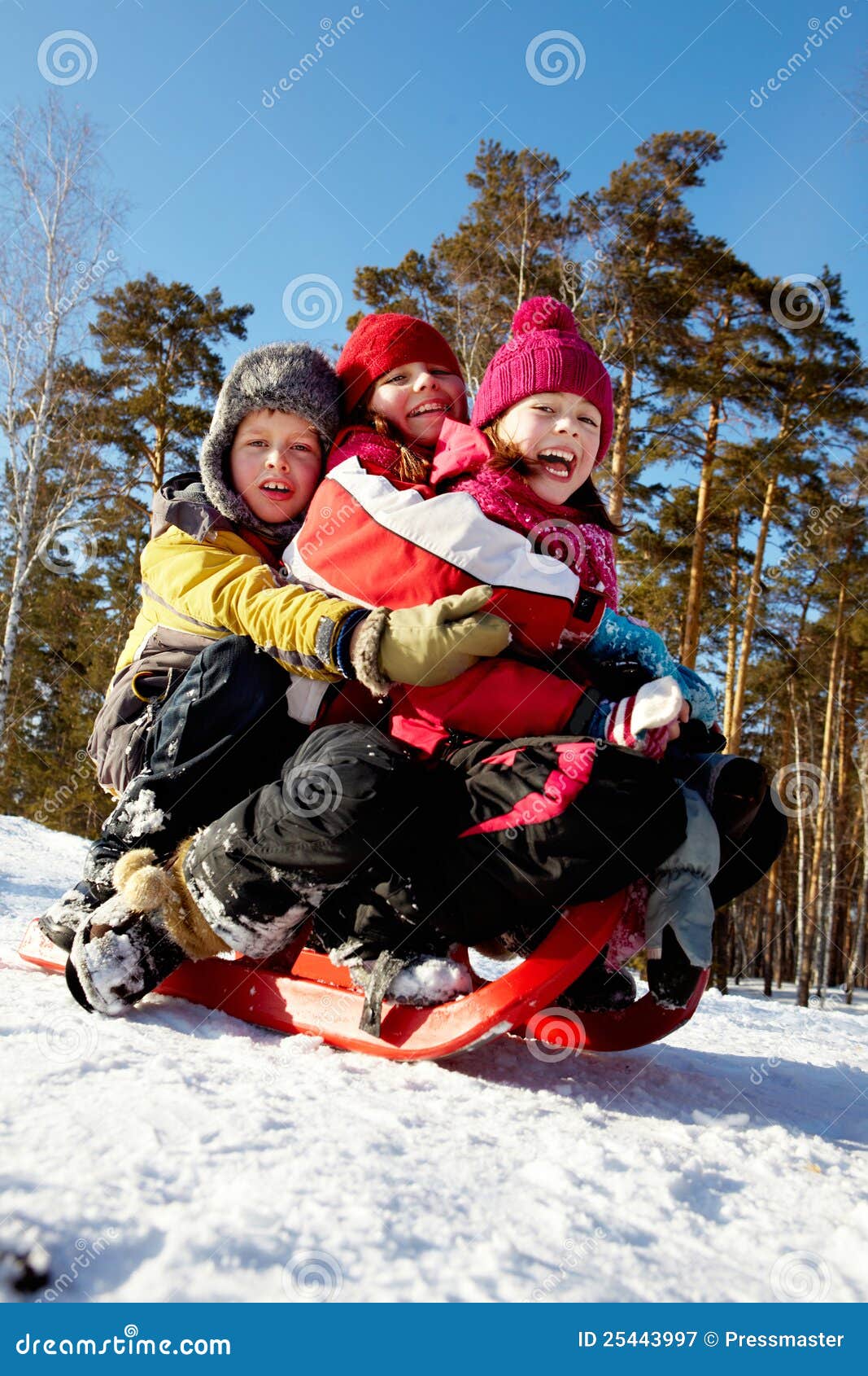 Divertirse imagen de archivo. Imagen de ocio, vertical - 25443997