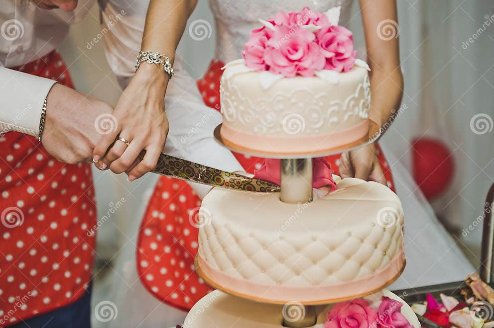Divide the Cake into Pieces for Wanting To Eat Stock Image - Image of ...