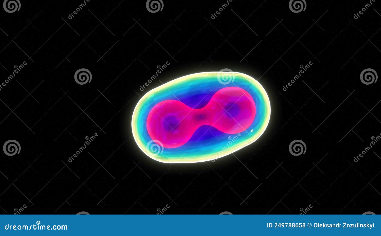Divide Cells Biology Life on Black Background 3d Stock Illustration ...