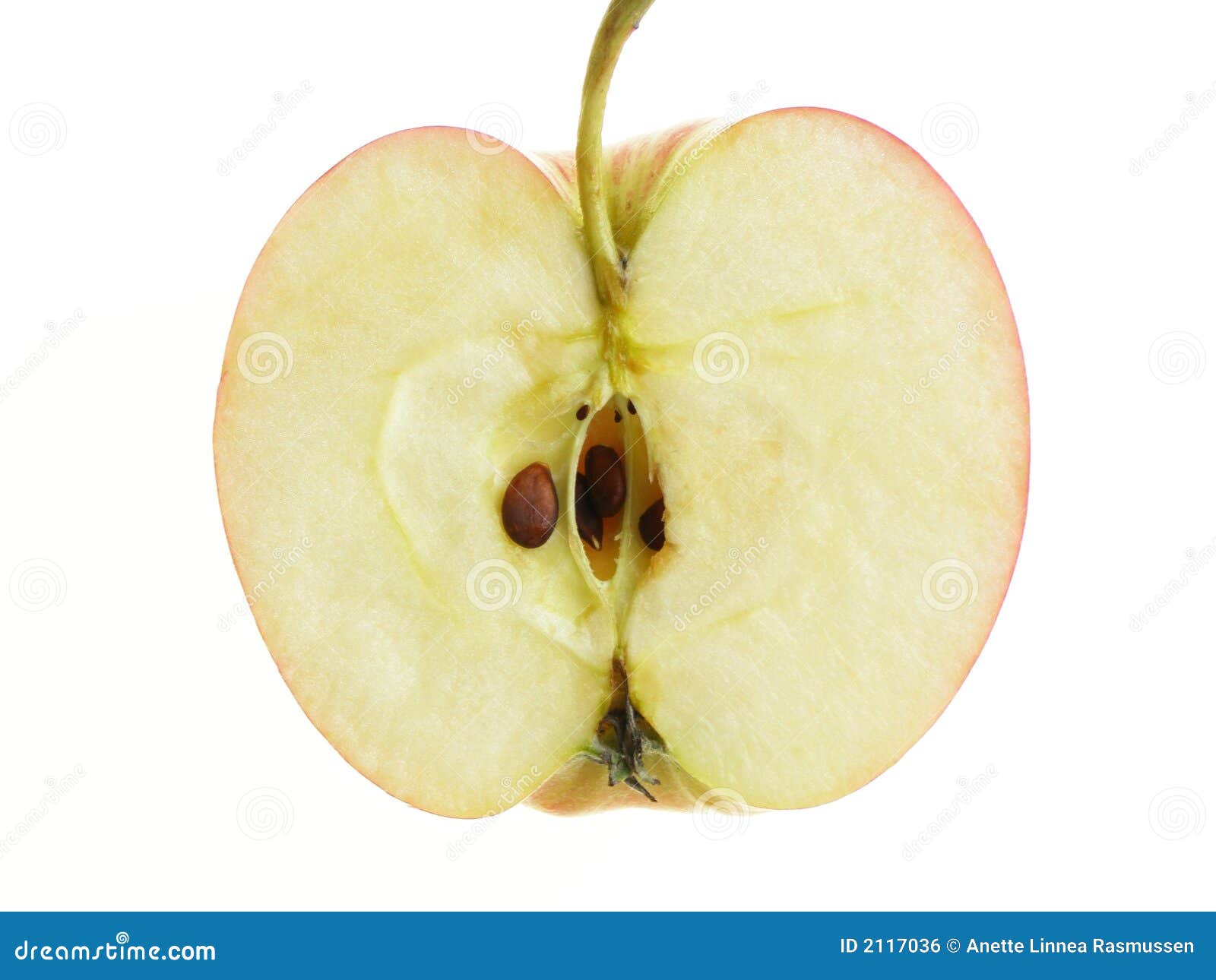 Divided apple stock photo. Image of natural, apple, divided - 2117036