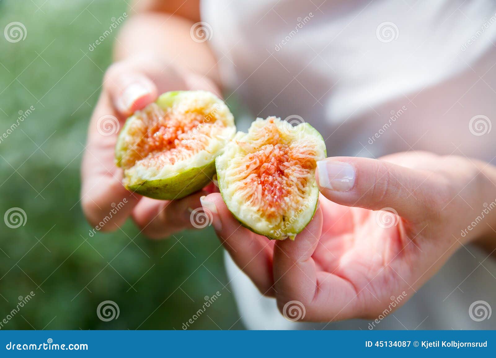Divided Fresh Organic Figs from the Tree Stock Image - Image of summer ...