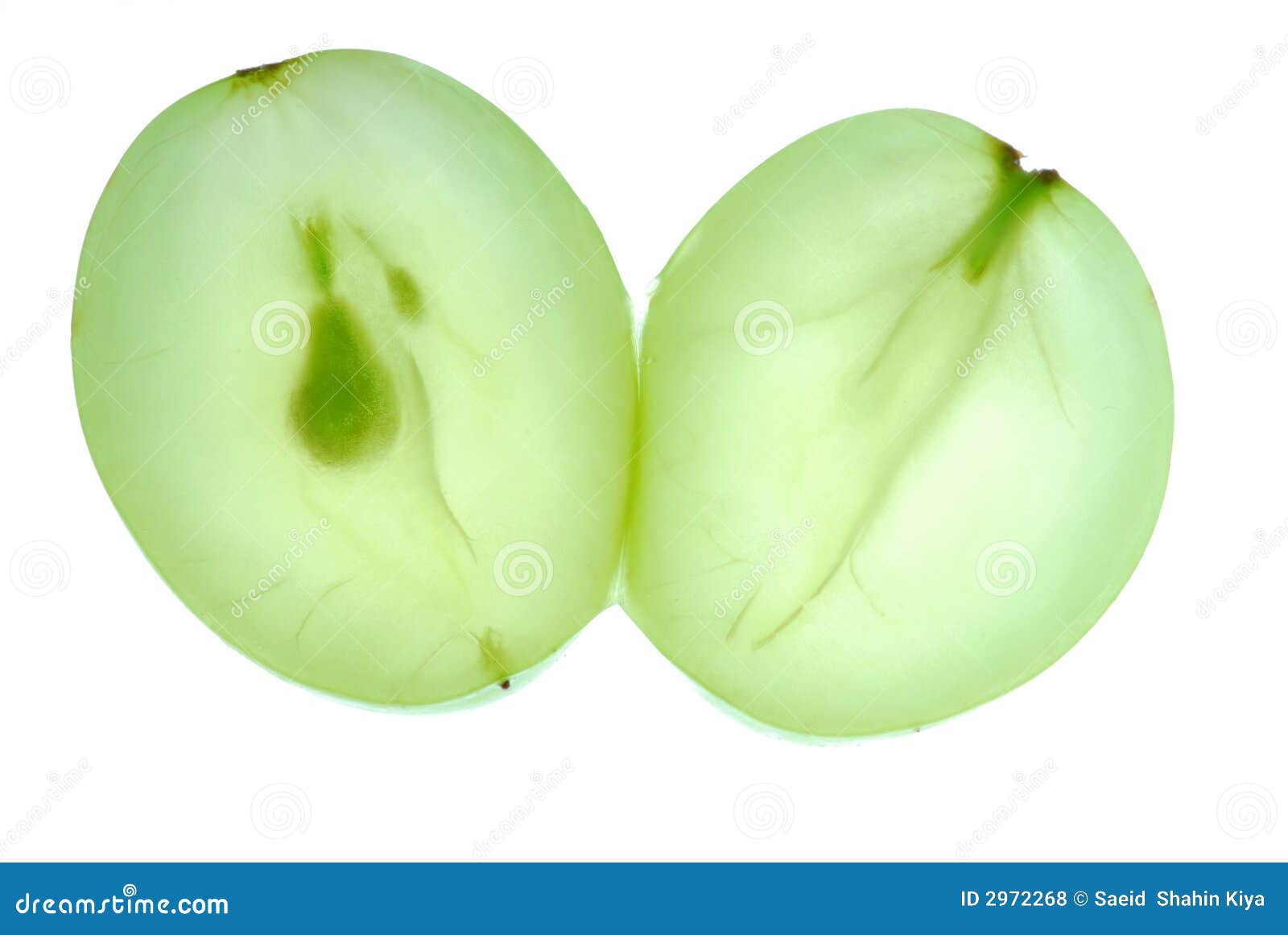 Divided grapes stock photo. Image of leaf, agriculture - 2972268