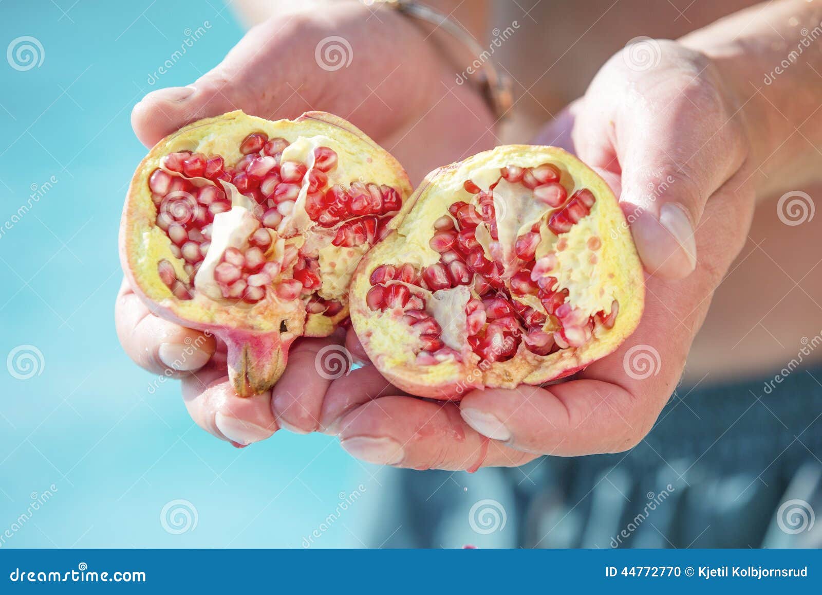 Divided Organic Pomegranate from the Tree Stock Photo - Image of leaf ...