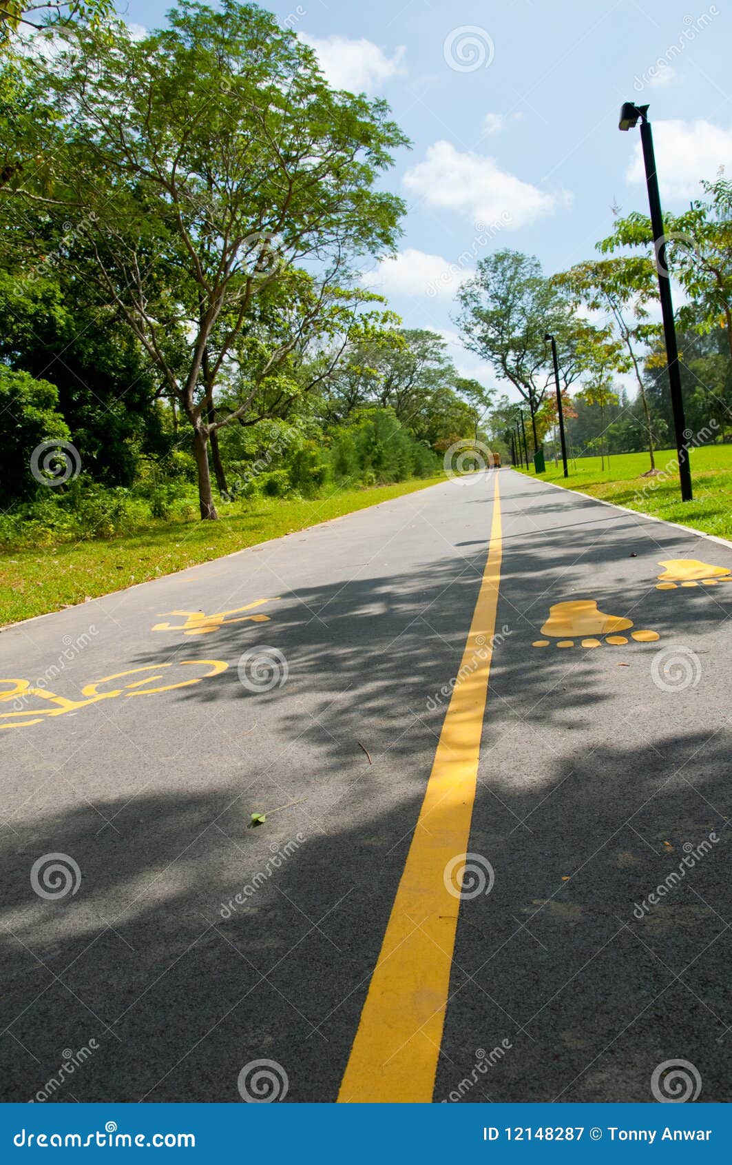 Divided Pathway Stock Photo | CartoonDealer.com #12148287