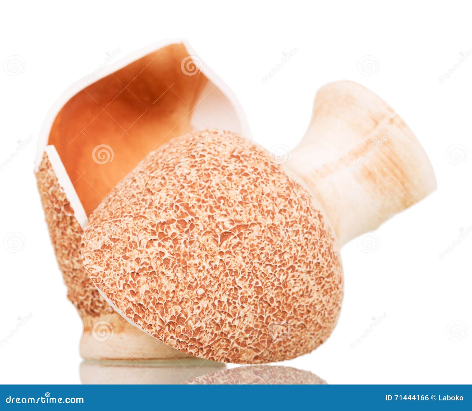 Divided into Two Parts Ceramic Vase Isolated on White Stock Photo ...