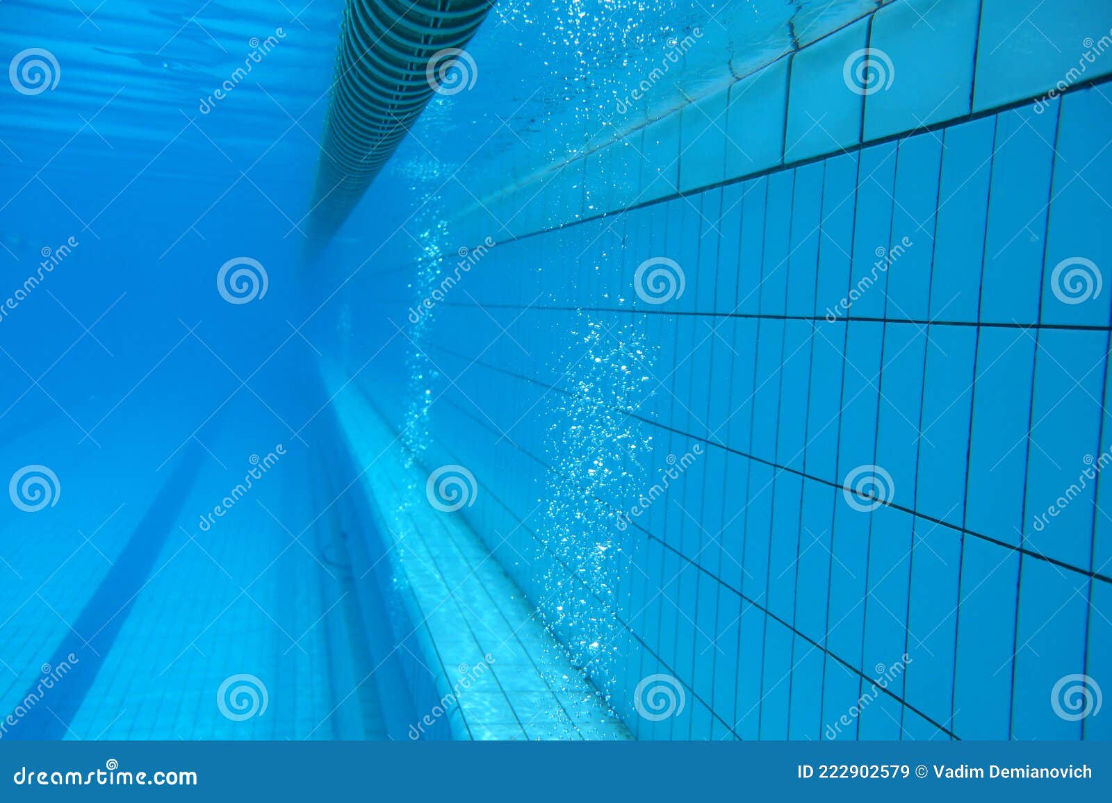 Dividers of Paths in the Big Swimming Pool Stock Image - Image of ...