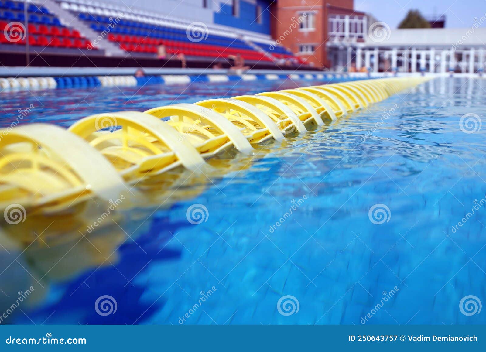 Dividers of Paths in the Big Swimming Pool Stock Image - Image of ...