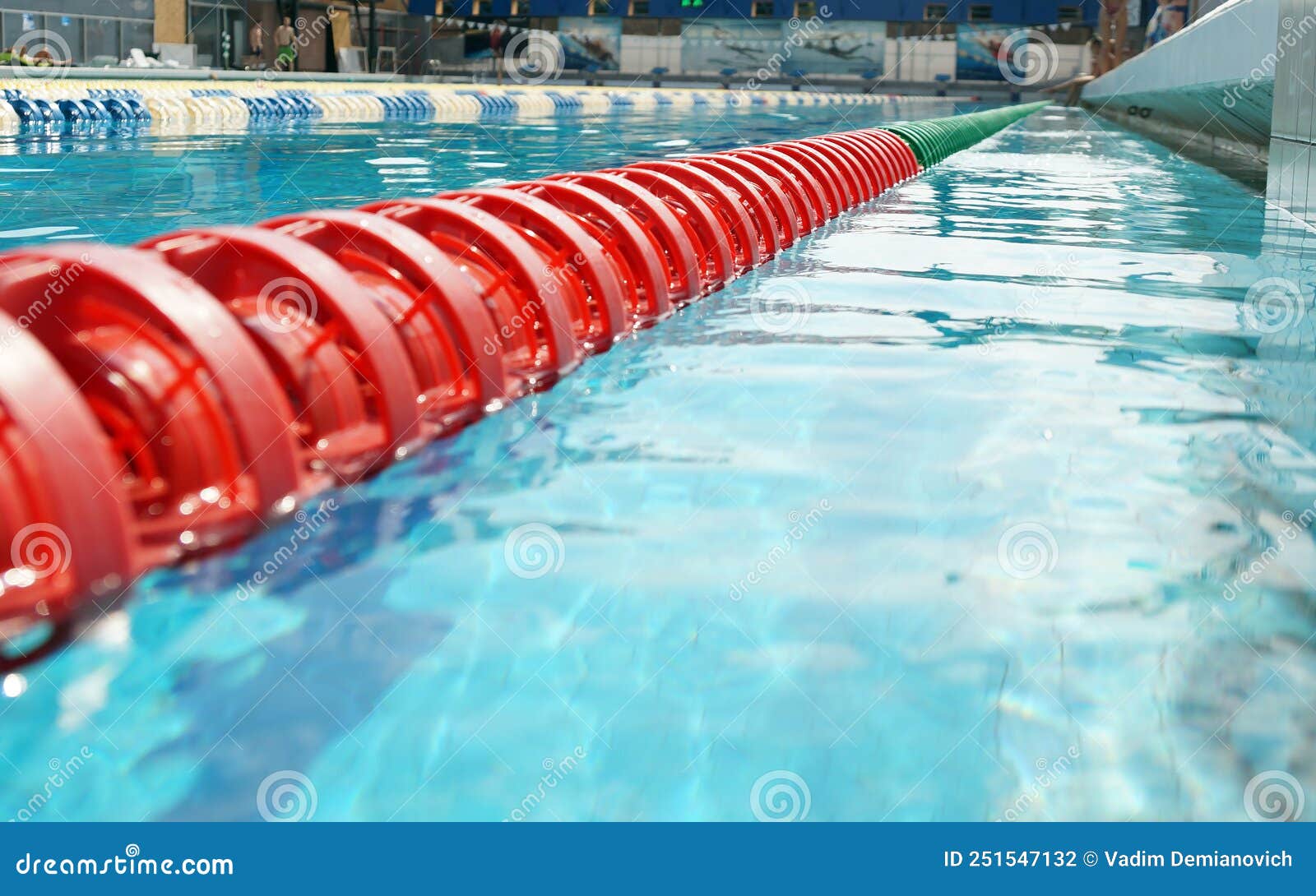 Dividers Of Paths In The Big Swimming Pool Royalty-Free Stock Photo ...