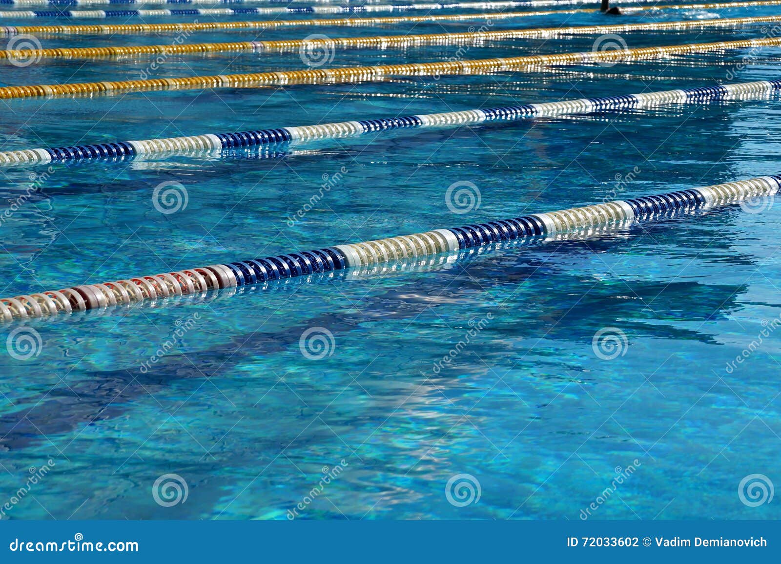 Dividers of Paths in the Big Swimming Pool Stock Photo - Image of ...