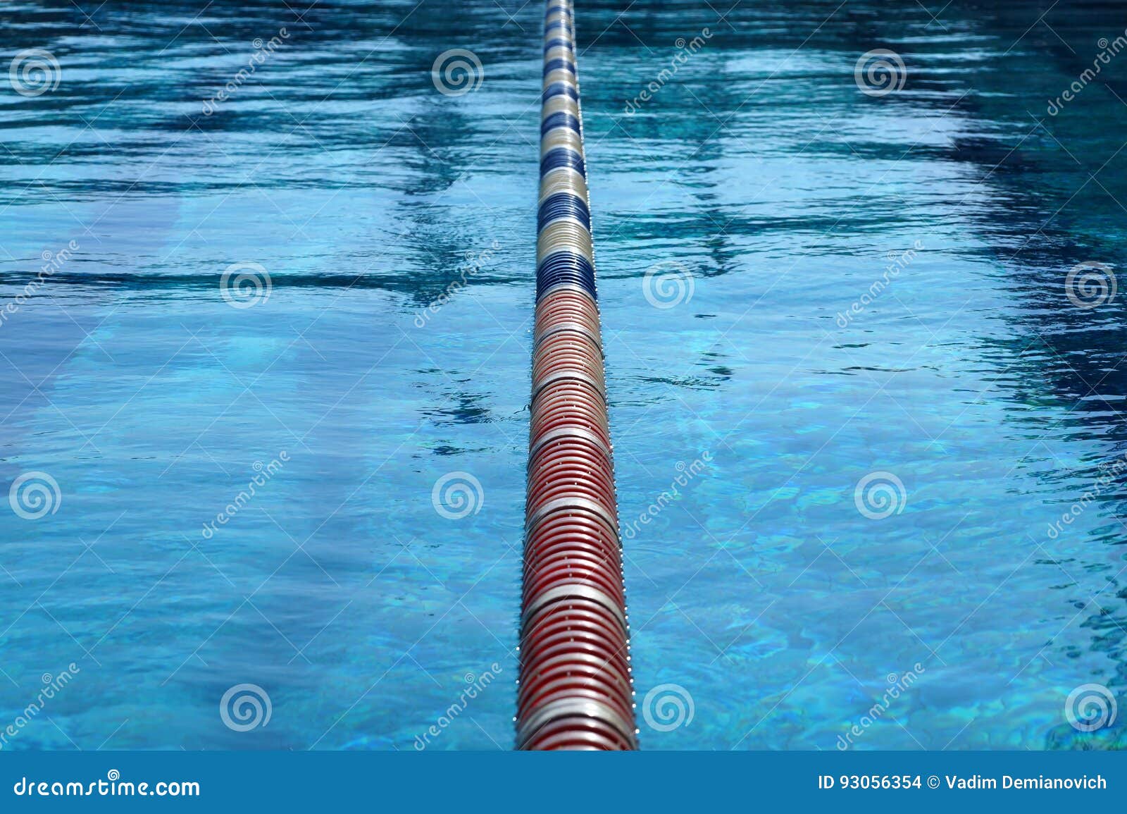 Dividers of Paths in the Big Swimming Pool Stock Photo - Image of ...