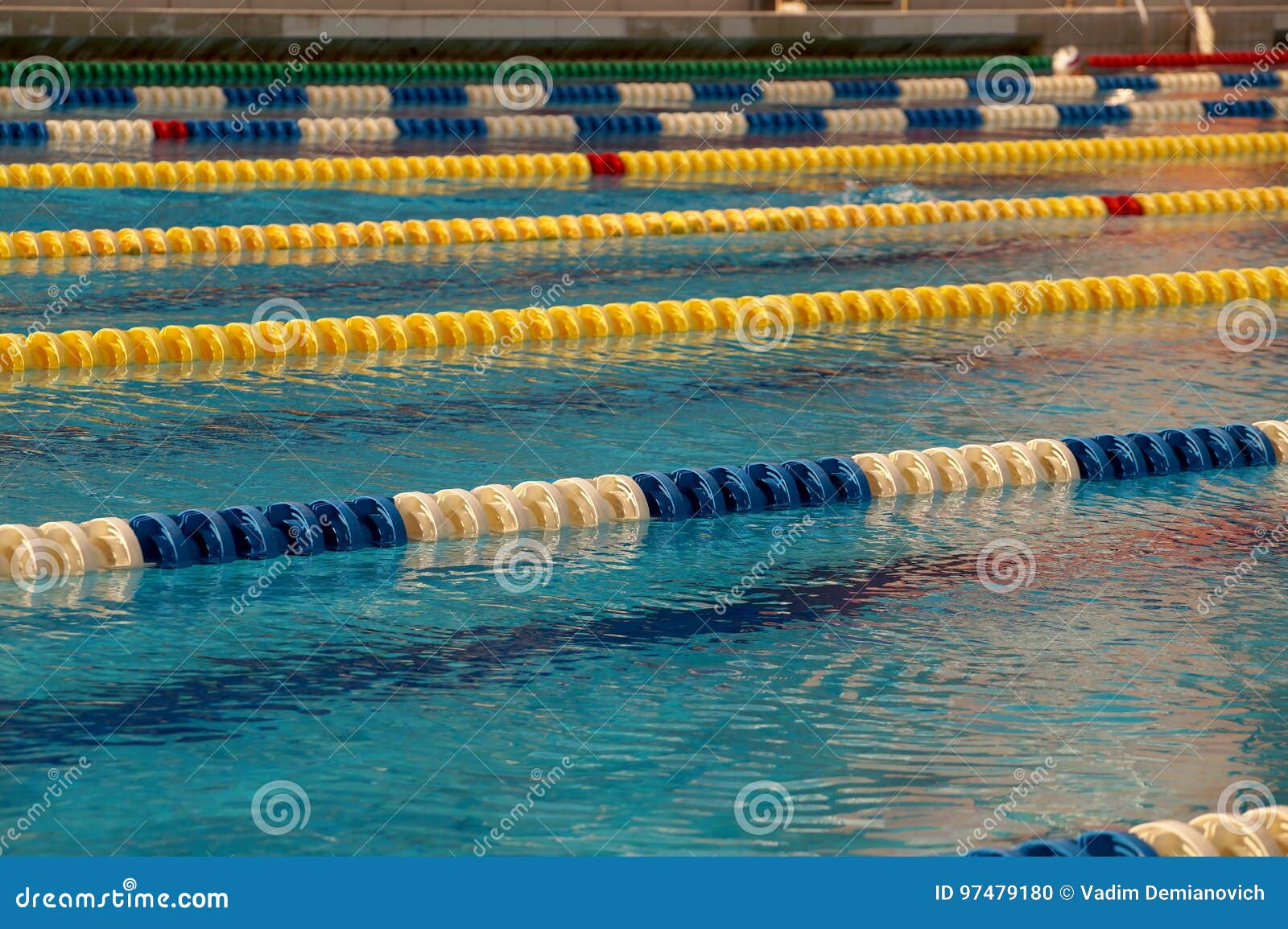 Dividers of Paths in the Big Swimming Pool Stock Photo - Image of gloss ...