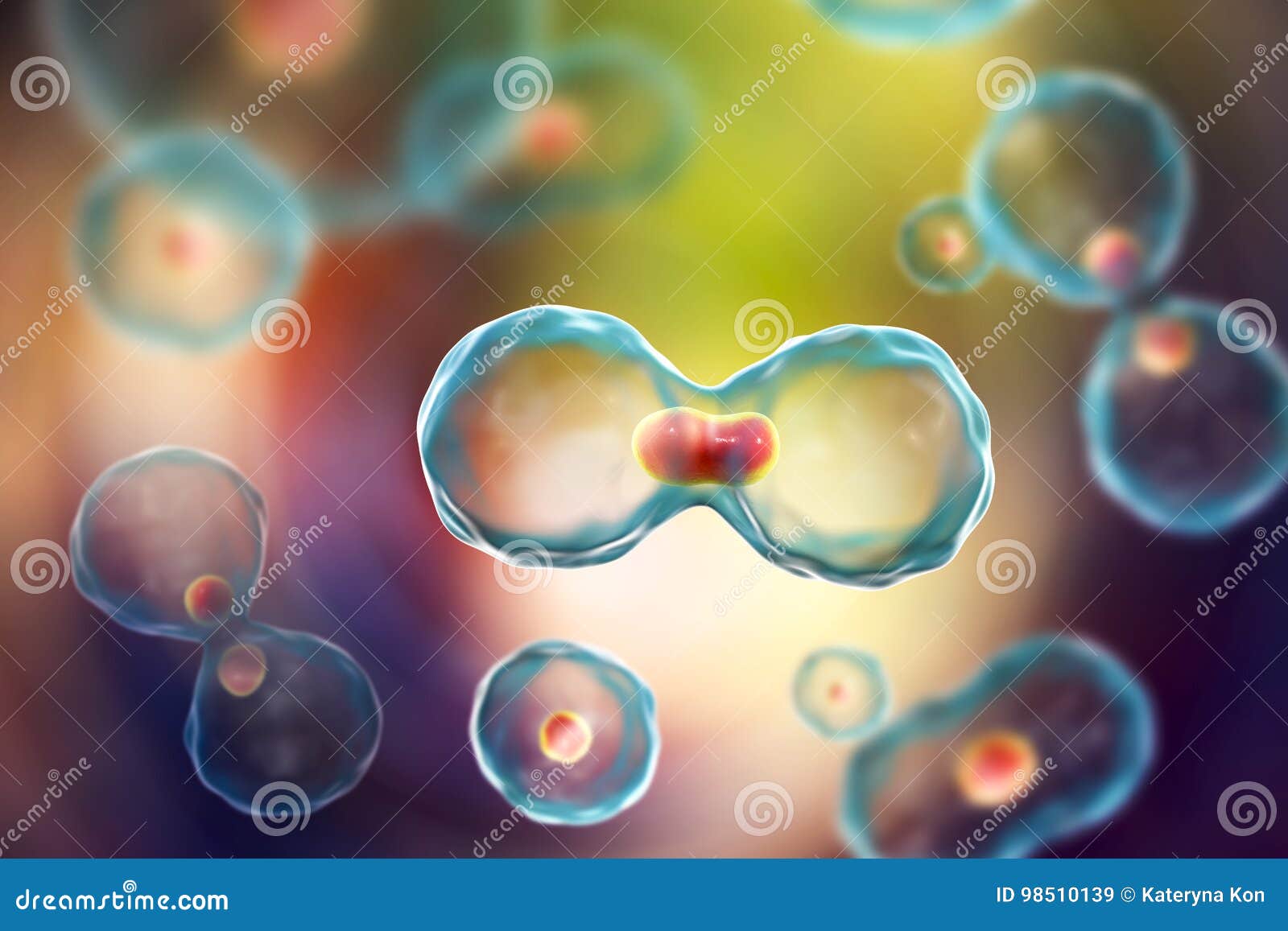 Dividing Cells on Colorful Background Stock Illustration - Illustration ...