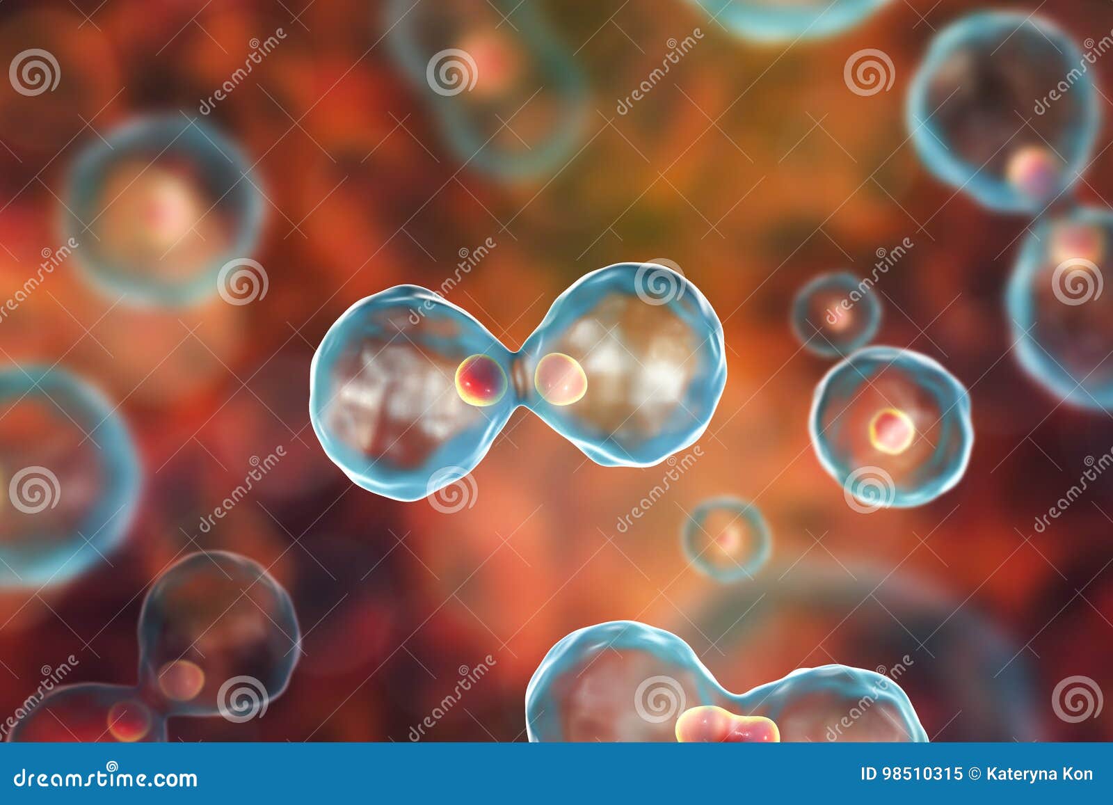 Dividing Cells on Colorful Background Stock Illustration - Illustration ...