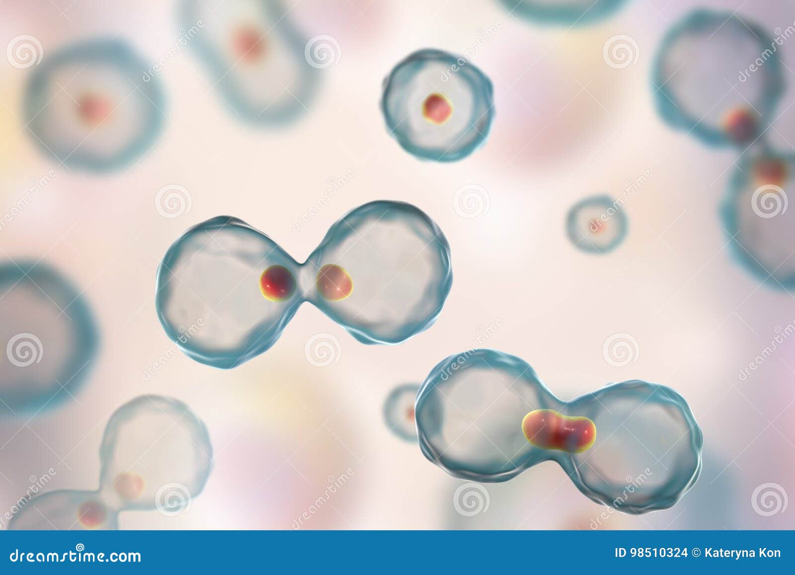 Dividing Cells on Colorful Background Stock Illustration - Illustration ...