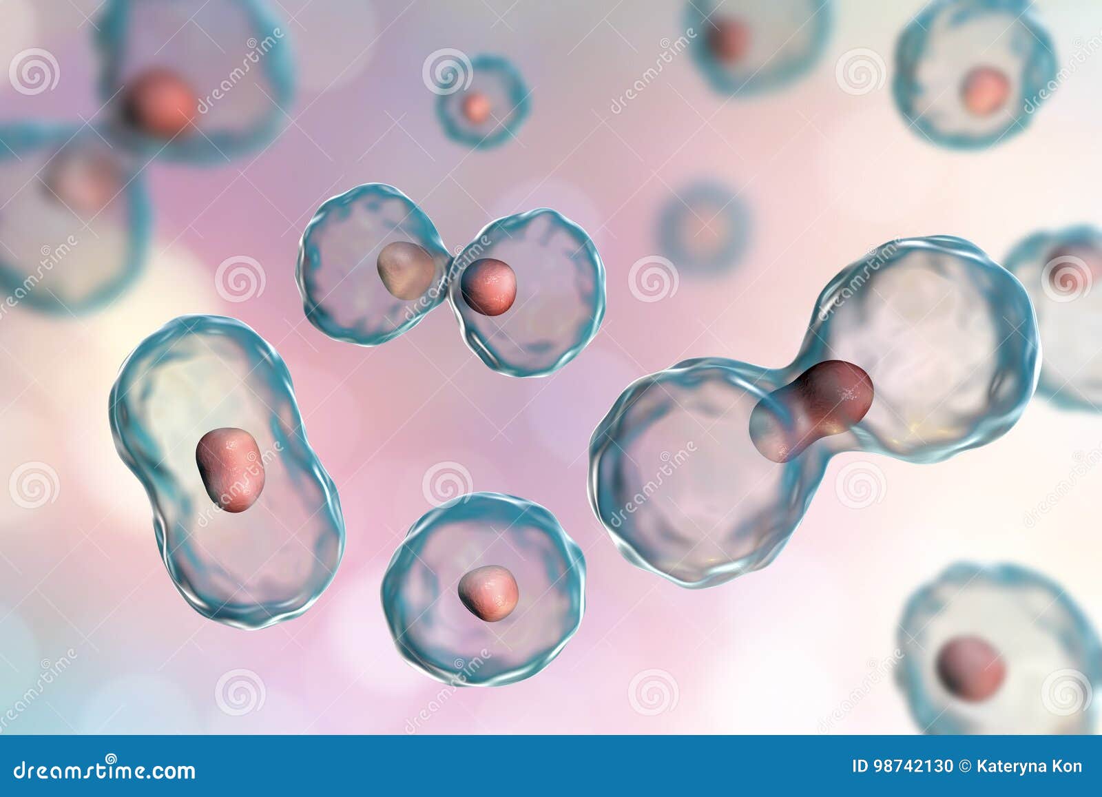 Dividing Cells on Colorful Background Stock Illustration - Illustration ...