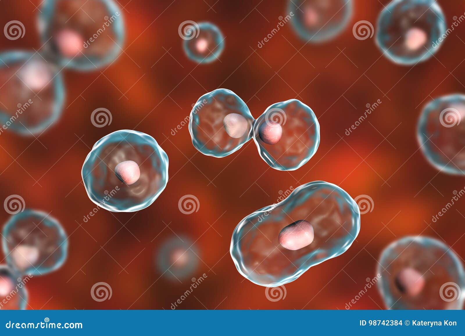 Dividing Cells on Colorful Background Stock Illustration - Illustration ...