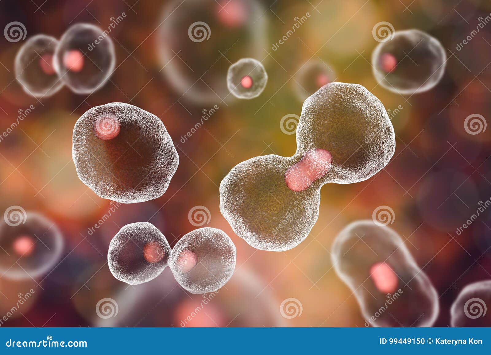 Dividing Cells on Colorful Background Stock Illustration - Illustration ...