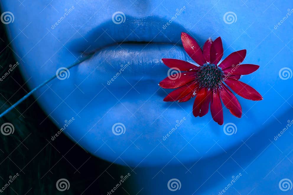 Divine flower stock image. Image of calmness, confidence - 12866263