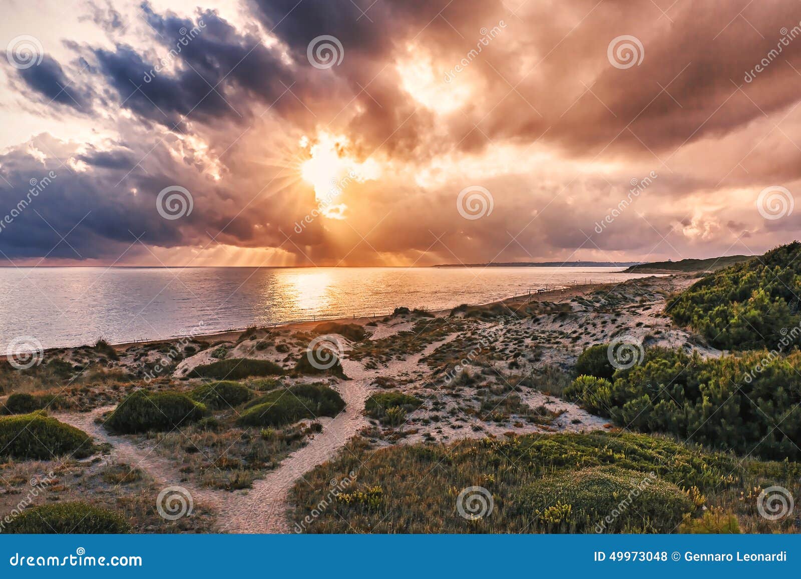 Divine Light stock photo. Image of bright, dawn, dramatic - 49973048