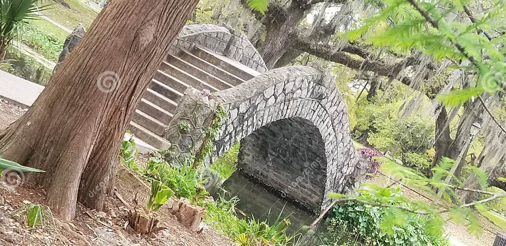 Divine pathways stock photo. Image of architecture, nature - 192229760