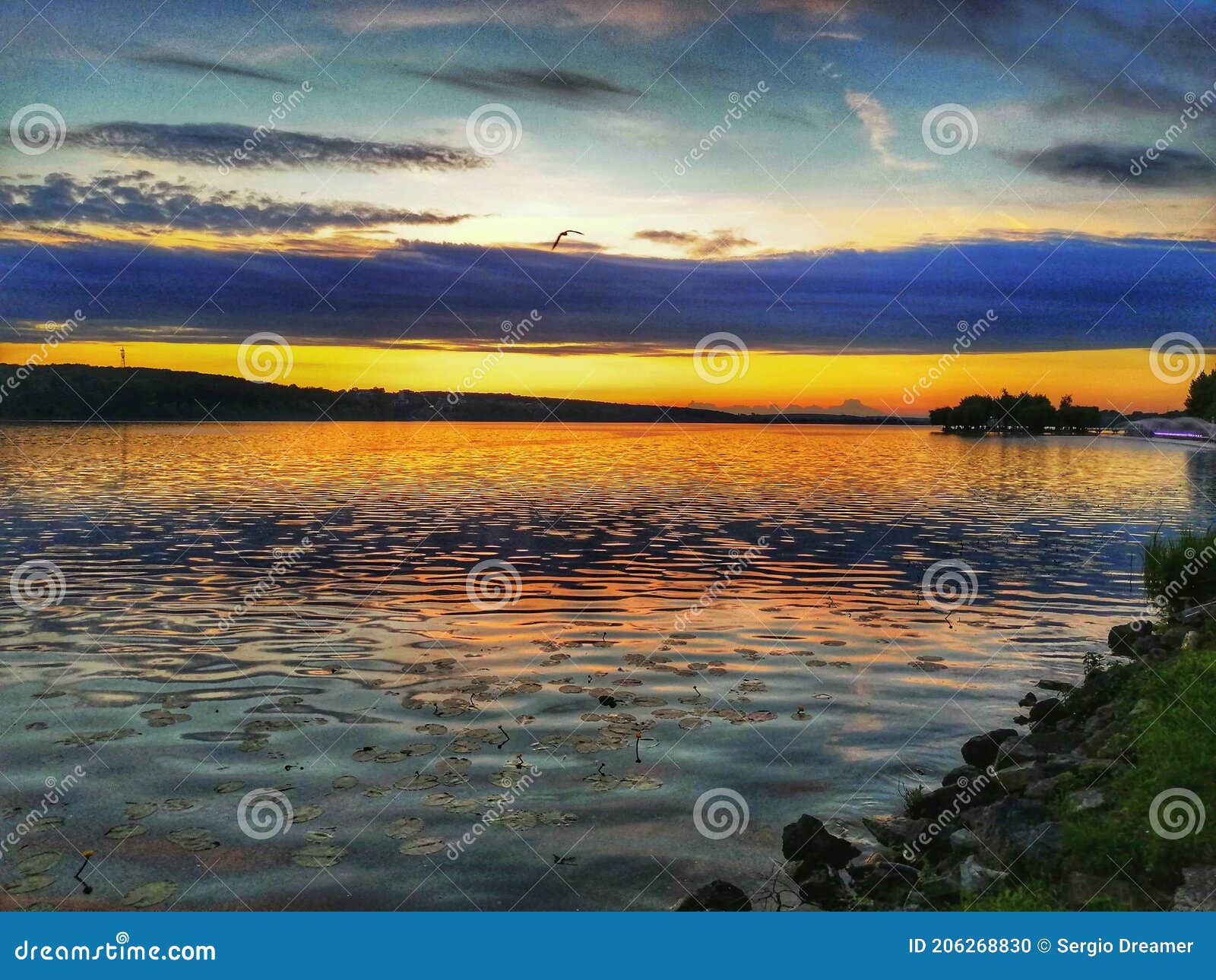 Divine sunset on the lake. stock photo. Image of lake - 206268830