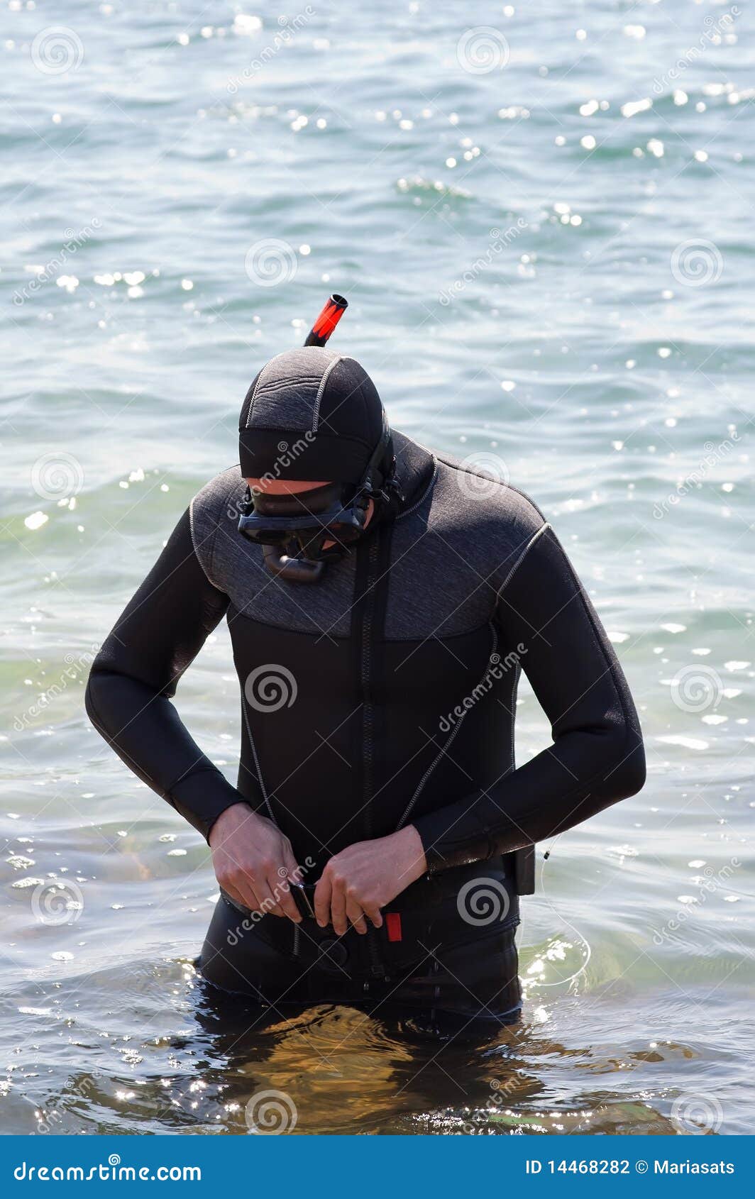 Diving stock photo. Image of island, outdoors, scuba - 14468282