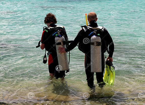 Diving stock image. Image of travel, ocean, vacation, diver - 19233