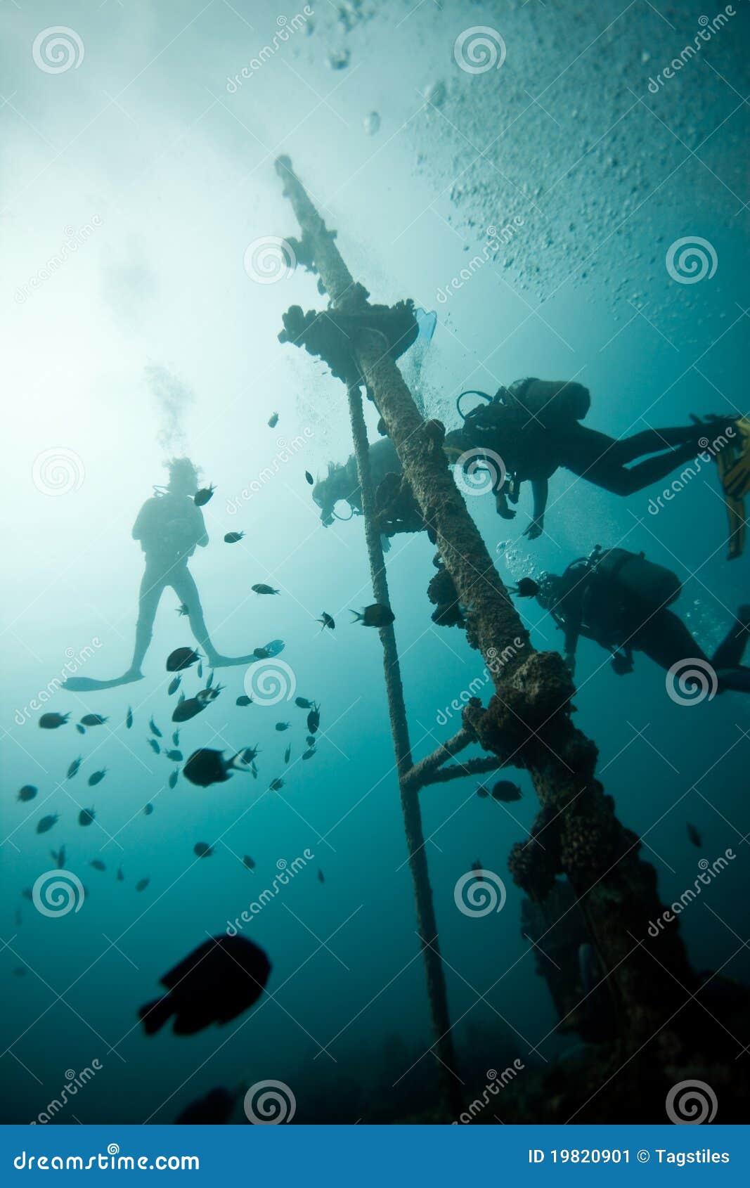 Diving stock image. Image of drown, sunshine, aquatic - 19820901