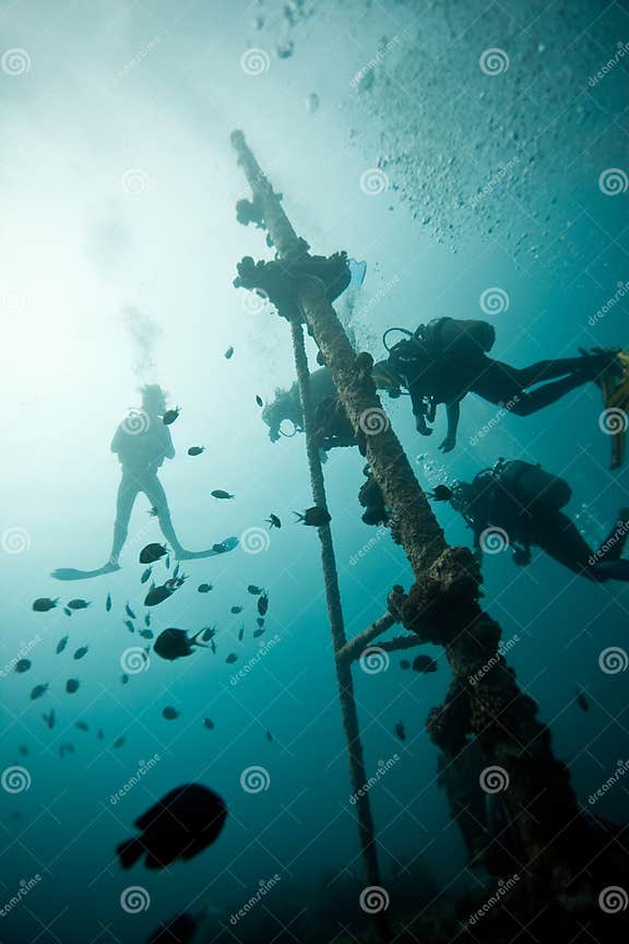 Diving stock image. Image of drown, sunshine, aquatic - 19820901