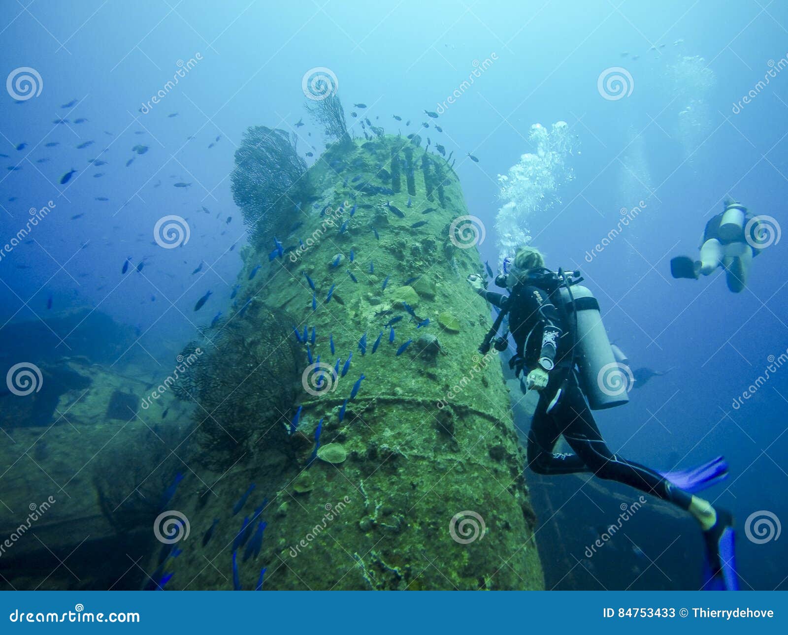 Diving in Barbados, Caribbean Editorial Stock Photo - Image of diving ...