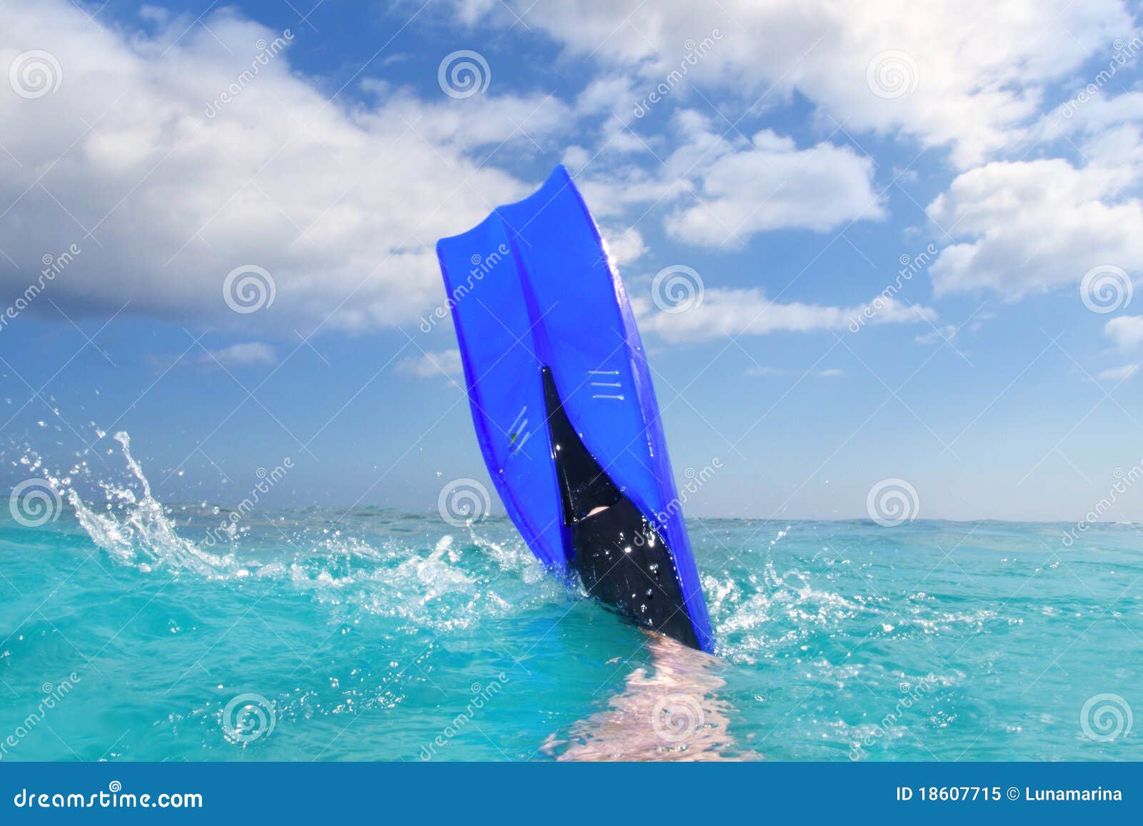 28,173 Diving Surface Stock Photos - Free & Royalty-Free Stock Photos ...