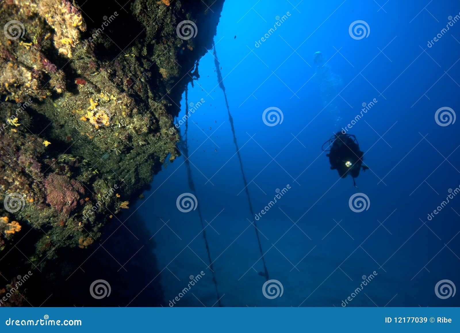 Diving in deep water stock image. Image of water, stones - 12177039
