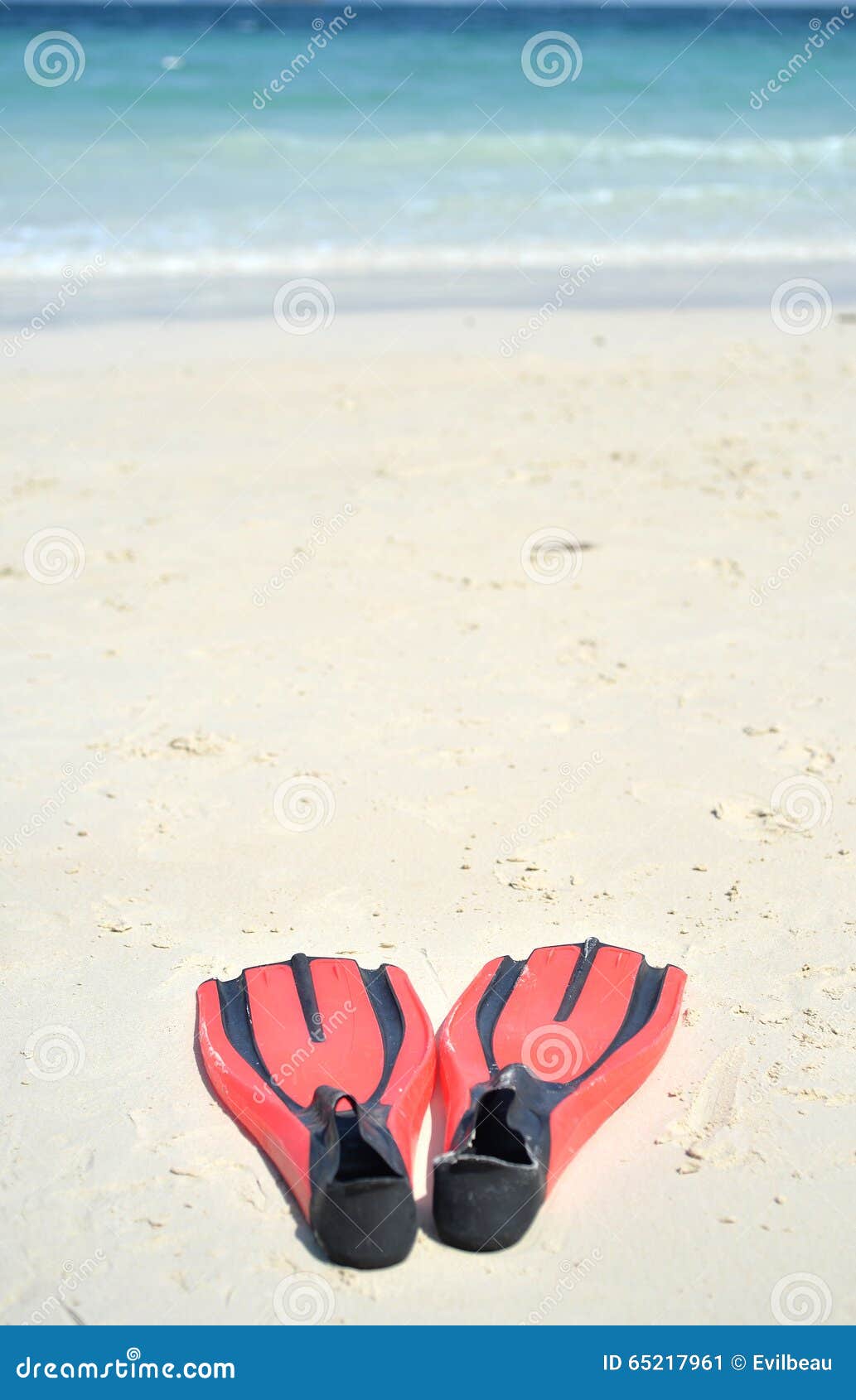 Diving fins stock image. Image of flipper, focus, relaxing - 65217961