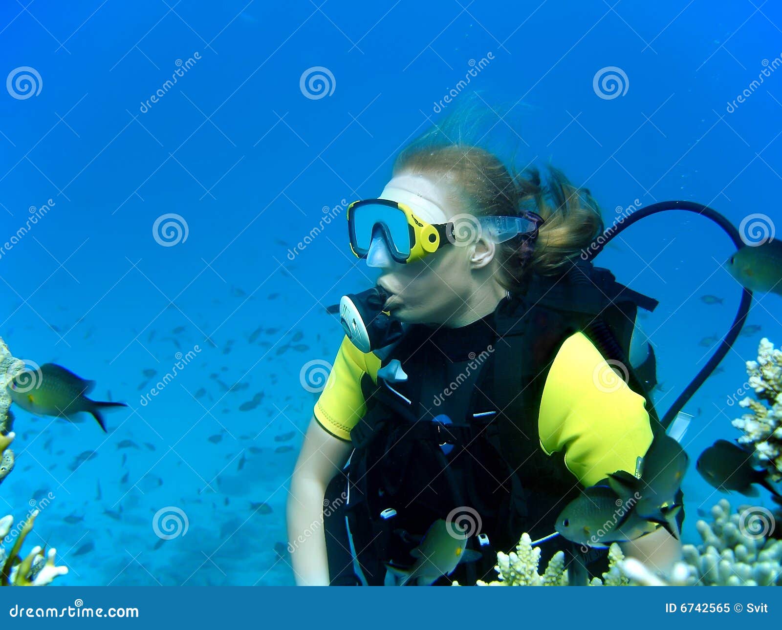 Diving girl stock image. Image of woman, wetsuit, deep - 6742565