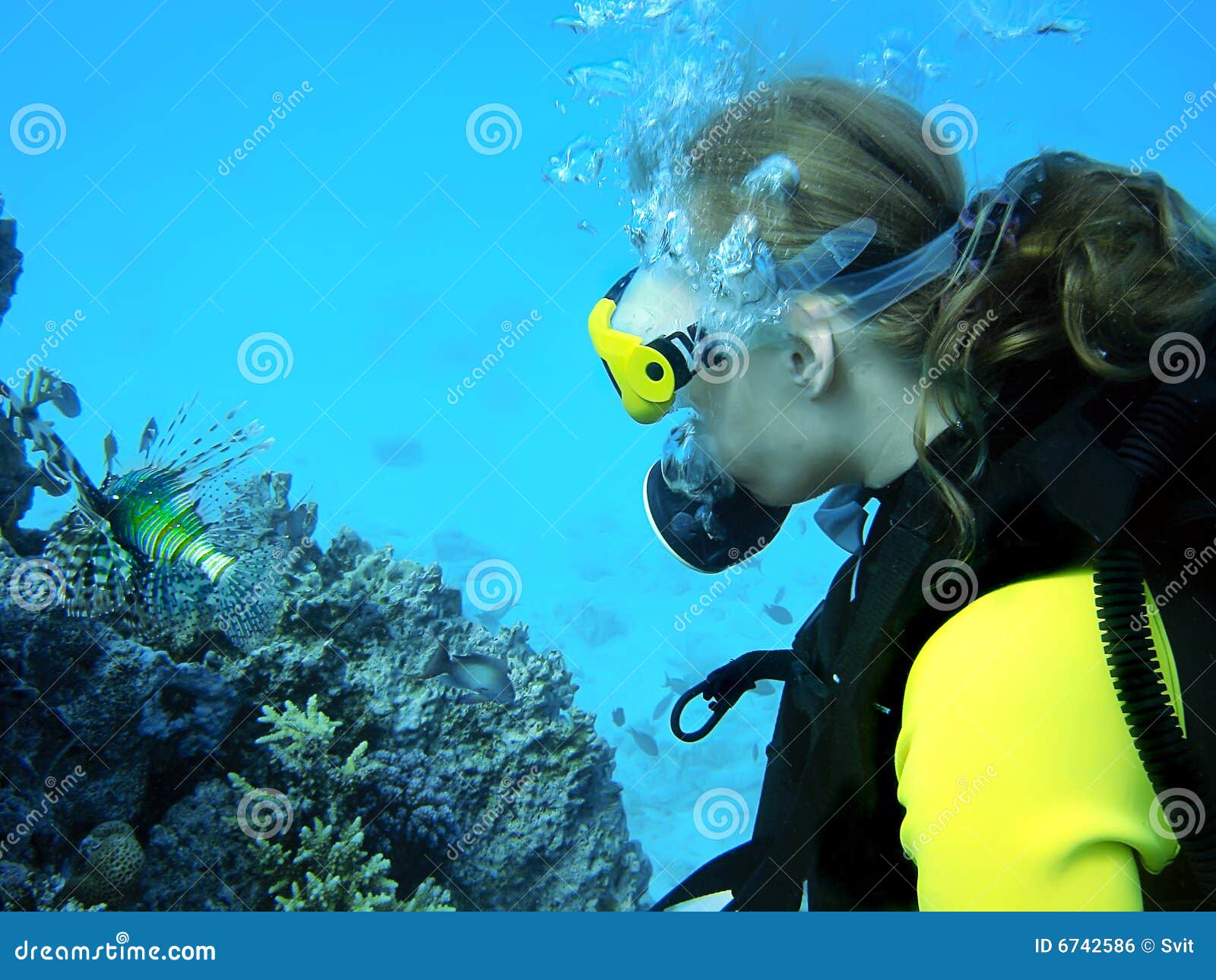 Diving girl stock photo. Image of blue, water, girl, aqualung - 6742586