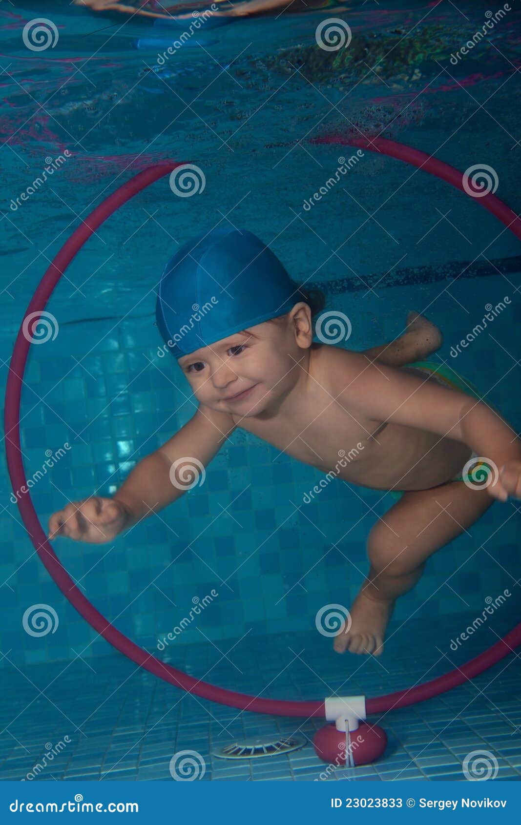 Diving in the Hoop Underwater Stock Image - Image of cute, portrait ...