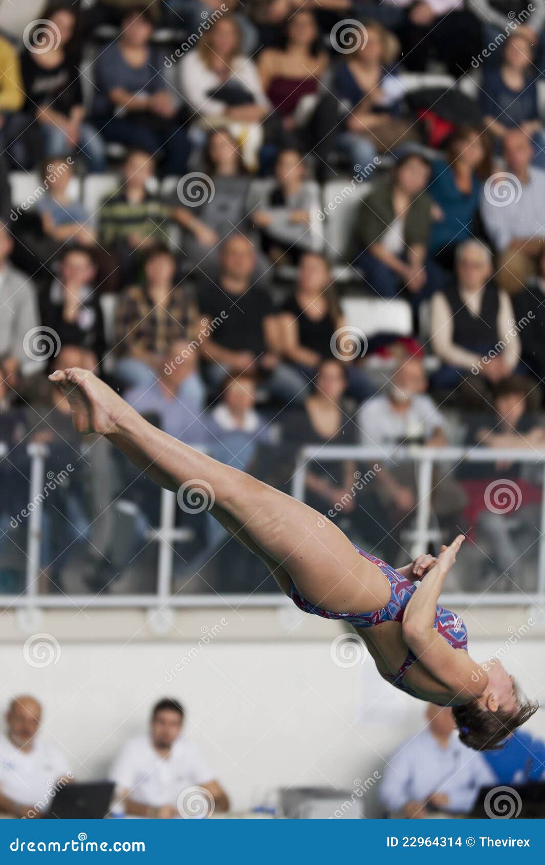 Diving Italian Indoor Championships Editorial Stock Image - Image of ...