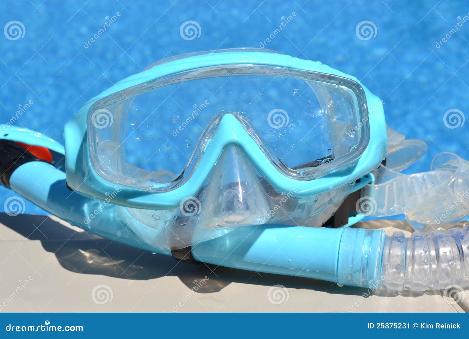 Diving Mask stock image. Image of mask, scuba, glass - 25875231
