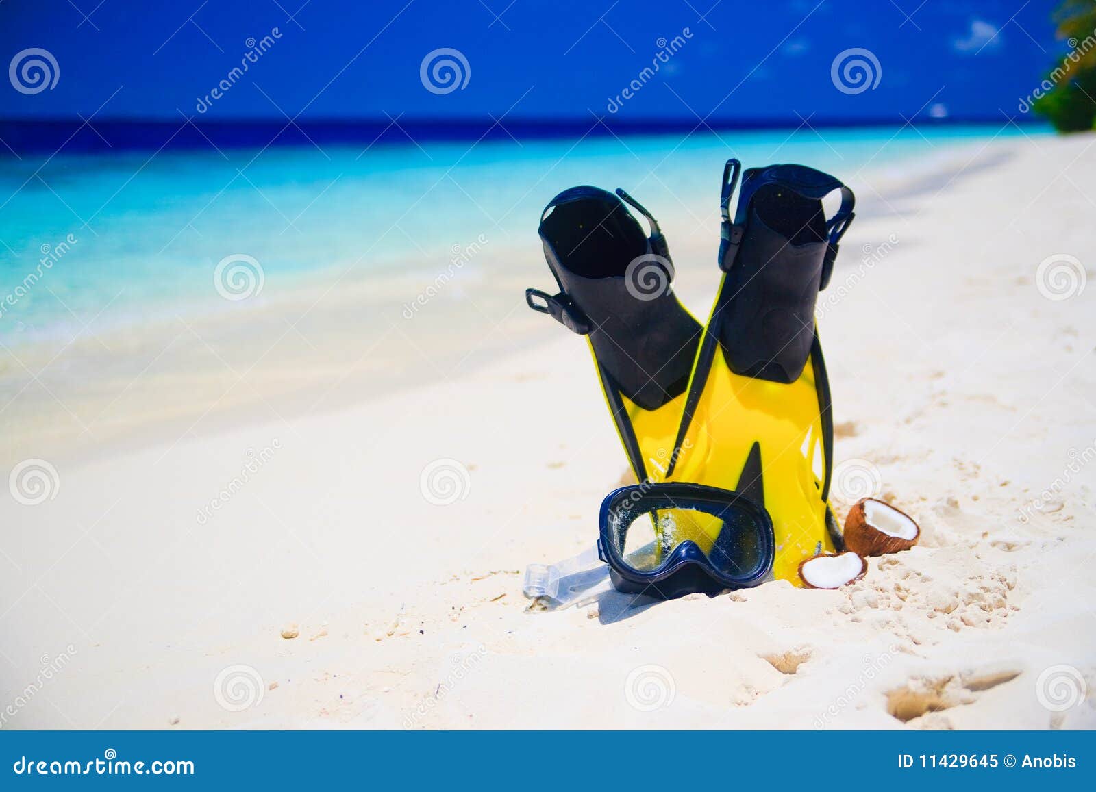 Diving Mask with Fins on Beach Stock Image - Image of mask, palm: 11429645